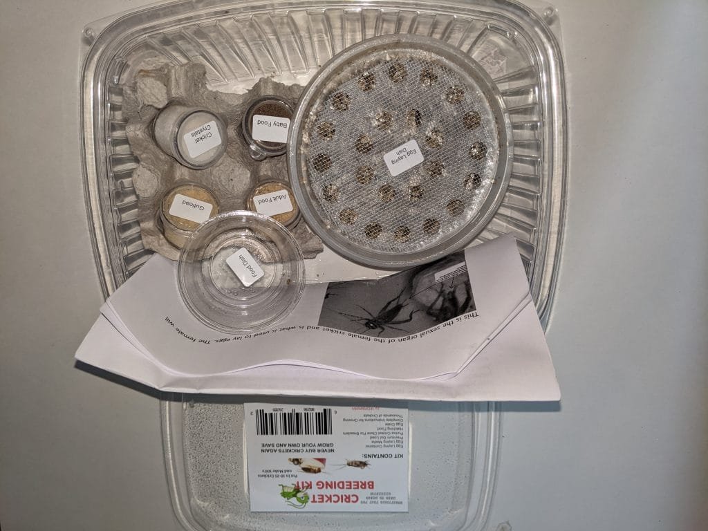 CRICKET BREEDING KIT | WORMMAN.COM